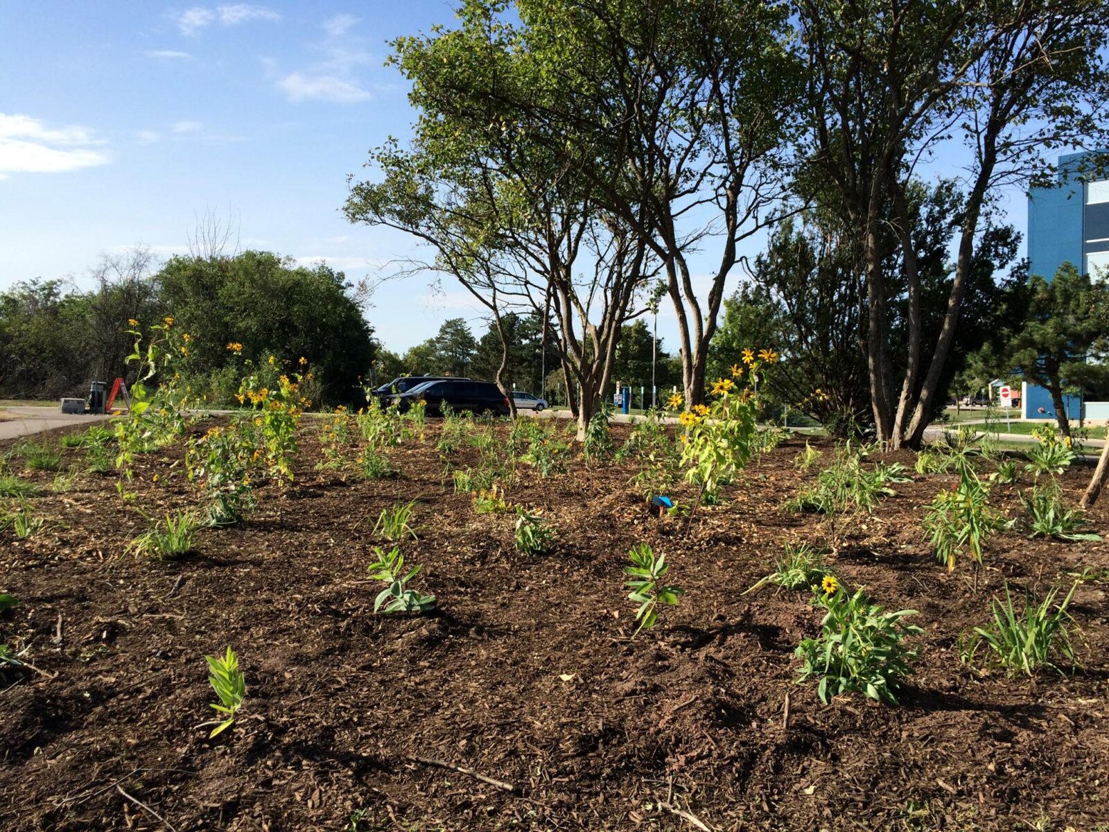 Mission Zero | Mission Zero is Sheridan’s framework for institution ...