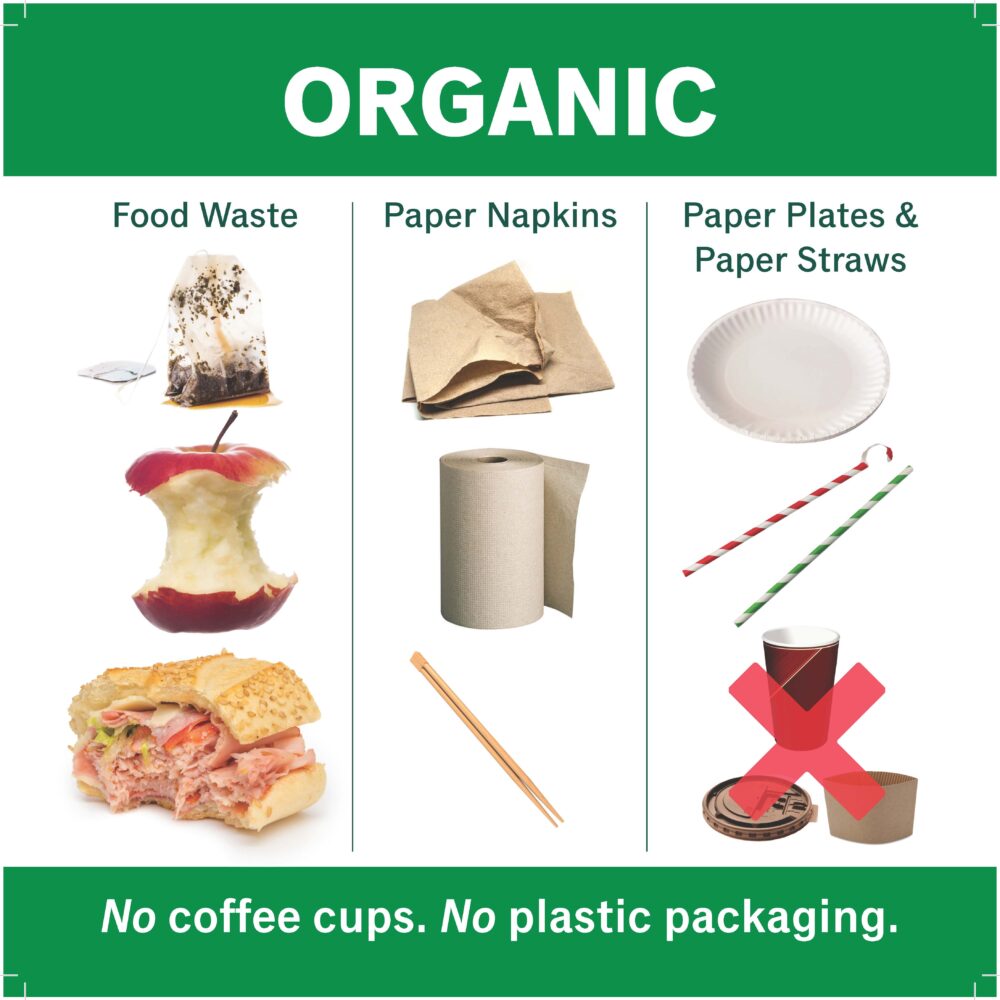 How to Sort Waste | Mission Zero